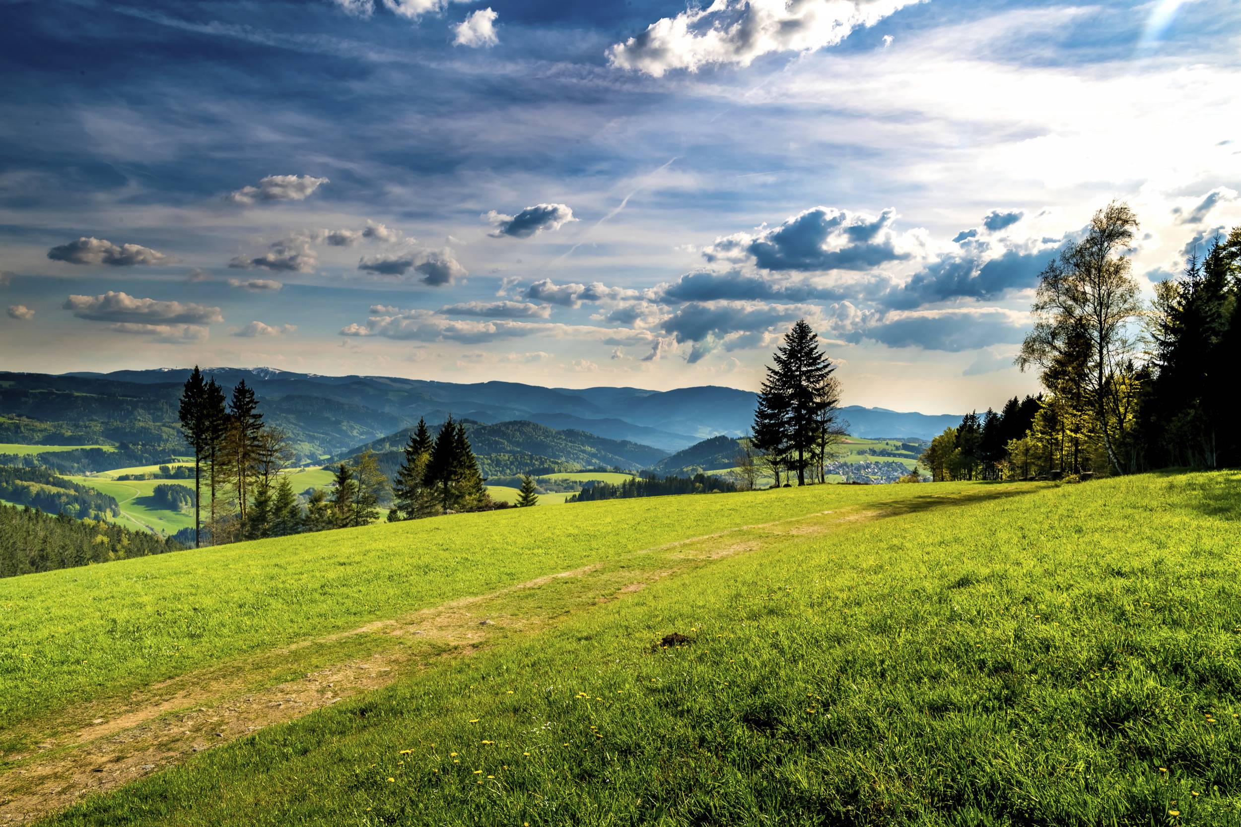 Aktiv im Schwarzwald - Sonne St. Peter